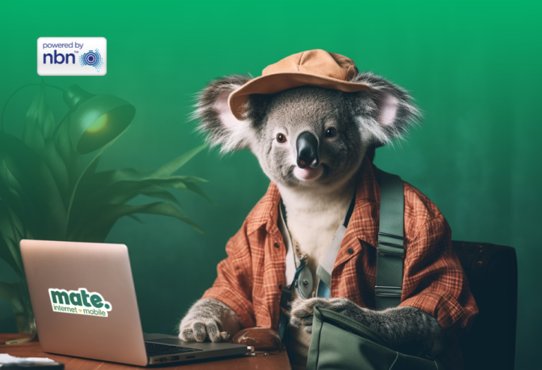 nbn Fibre Connect | MATE