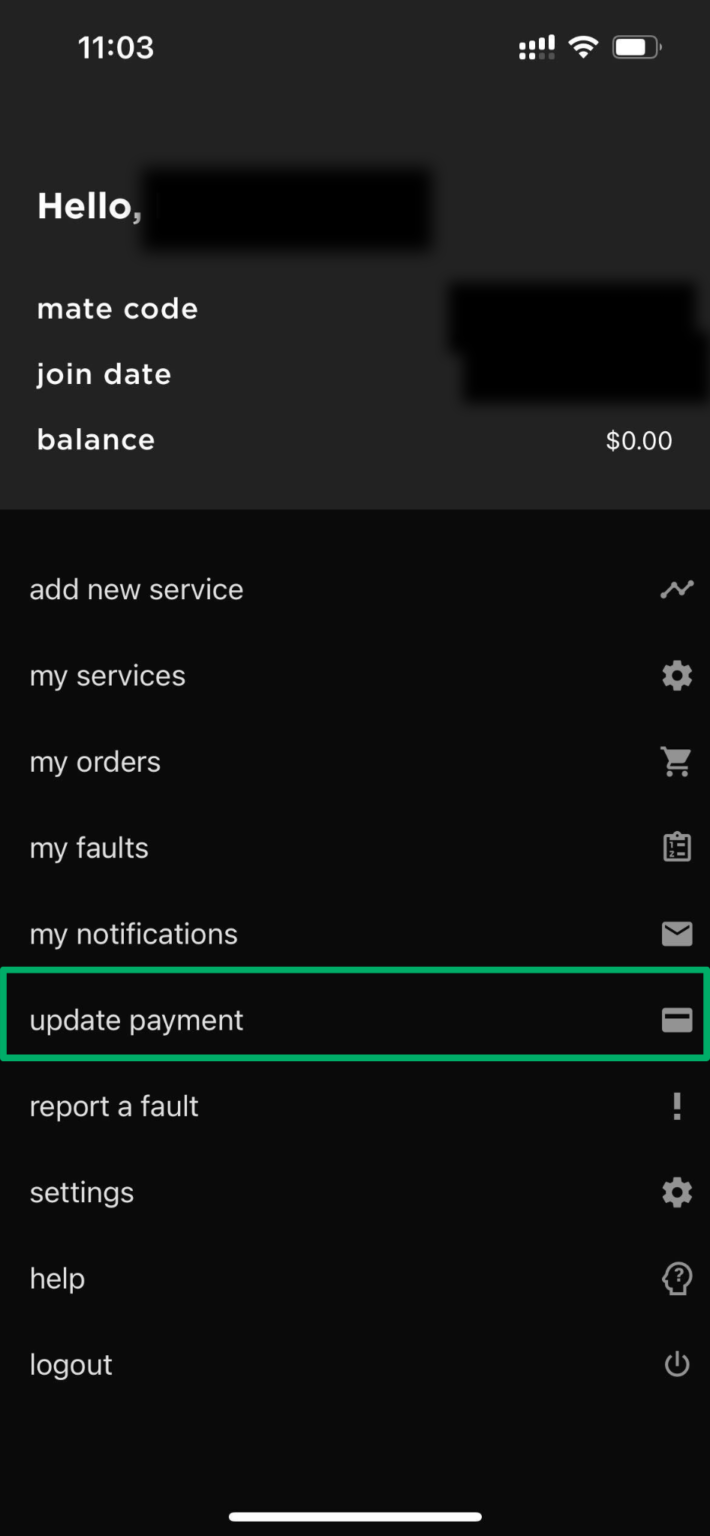 How do I update my payment details?